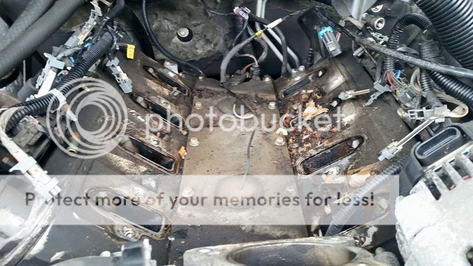 Knock Sensors | Chevy Avalanche Fan Club of North America